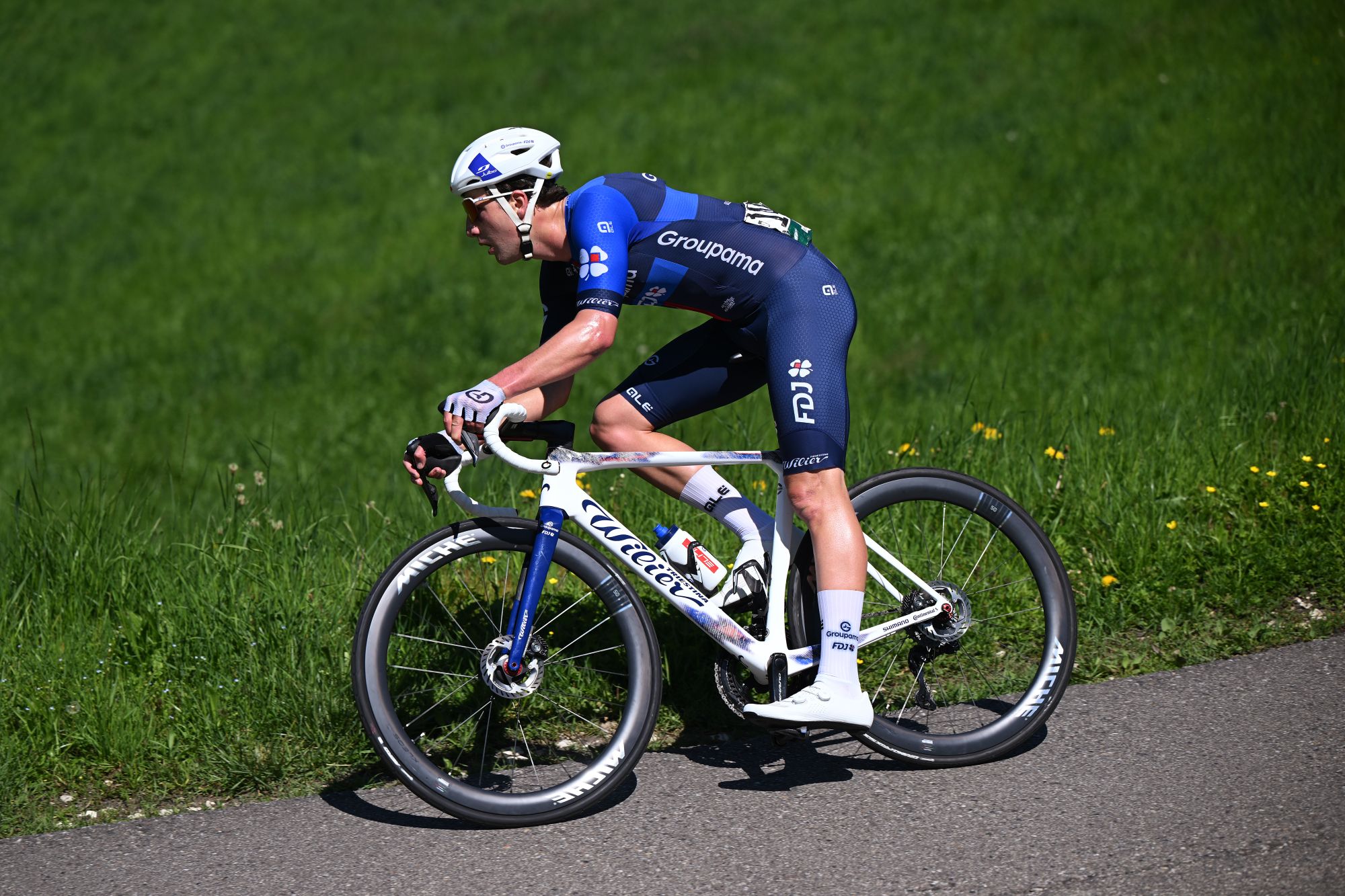 Journée à l’avant pour Enzo Paleni